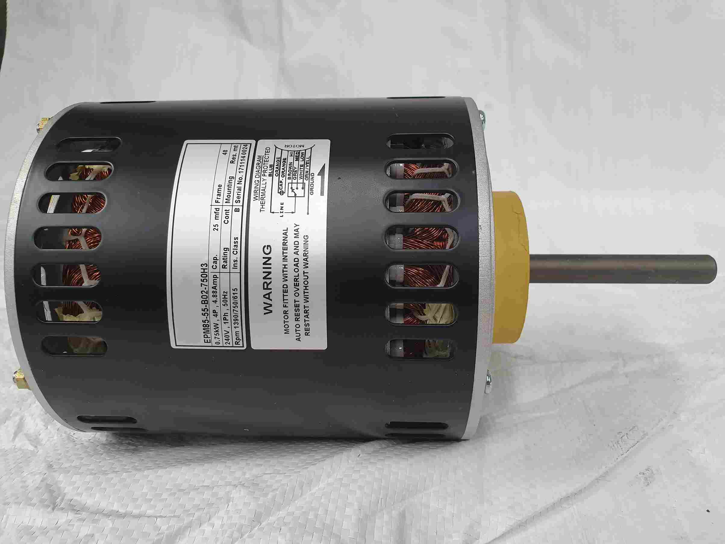 Motor 750W - Eco Pacific